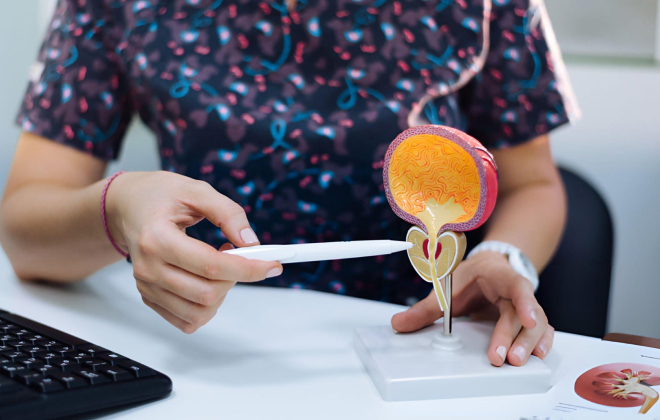 A Look into the Crucial Topic of Bladder Issues in Women - Avisena ...